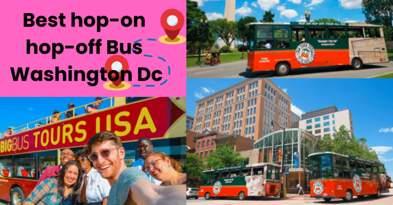 Best Hop-On Hop-Off Bus Washington DC | Top Tours 2025