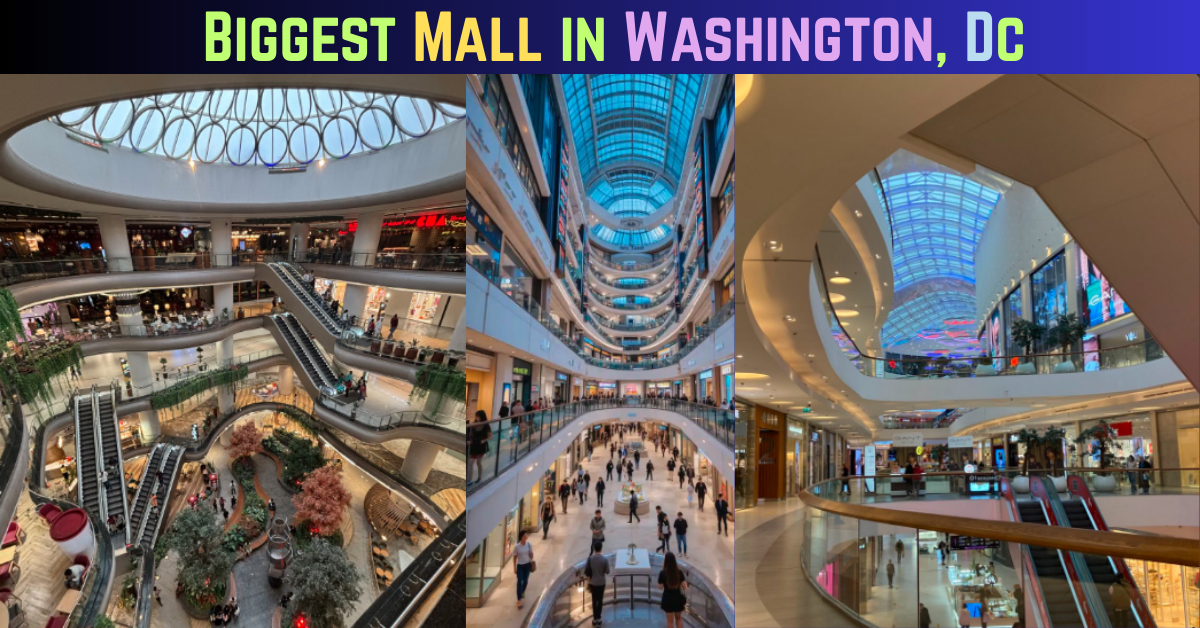 Exploring the Biggest Malls in Washington, DC | From Luxury Boutiques ...